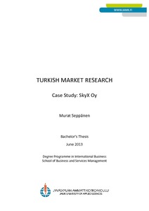 Turkish Market Research Case Study SkyX Oy - Theseus